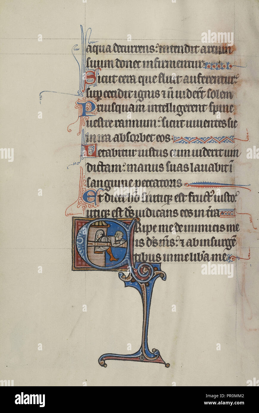 Michol hi-res stock photography and images - Alamy