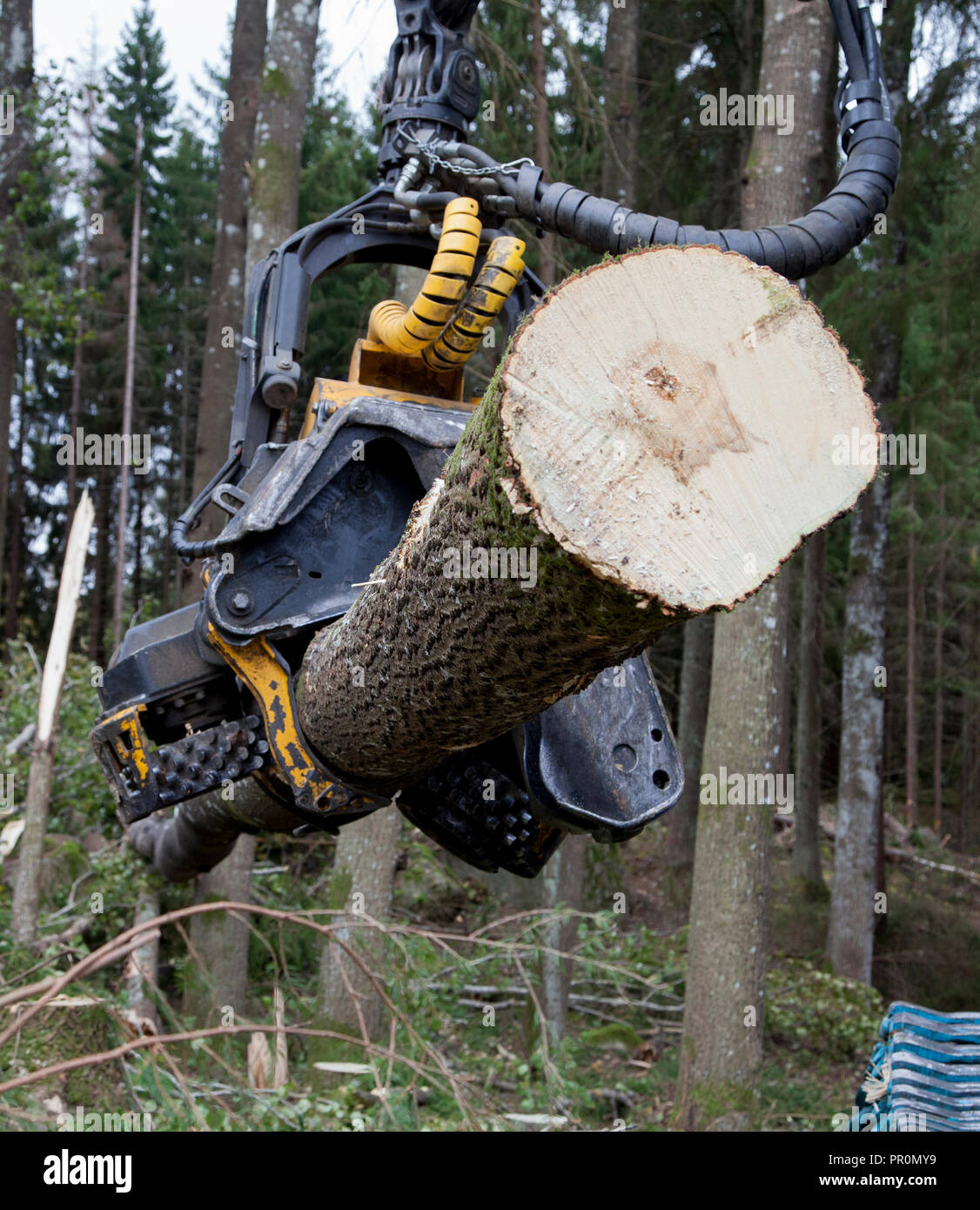 Forestry vehicle hi-res stock photography and images - Alamy