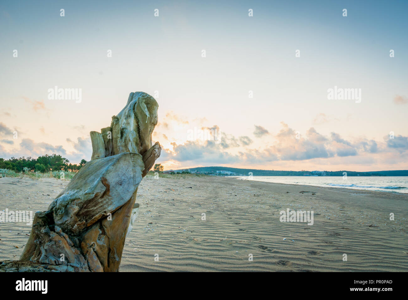 Black Sea beach landscape in Turkey at sunset - beautiful sunset beach ...