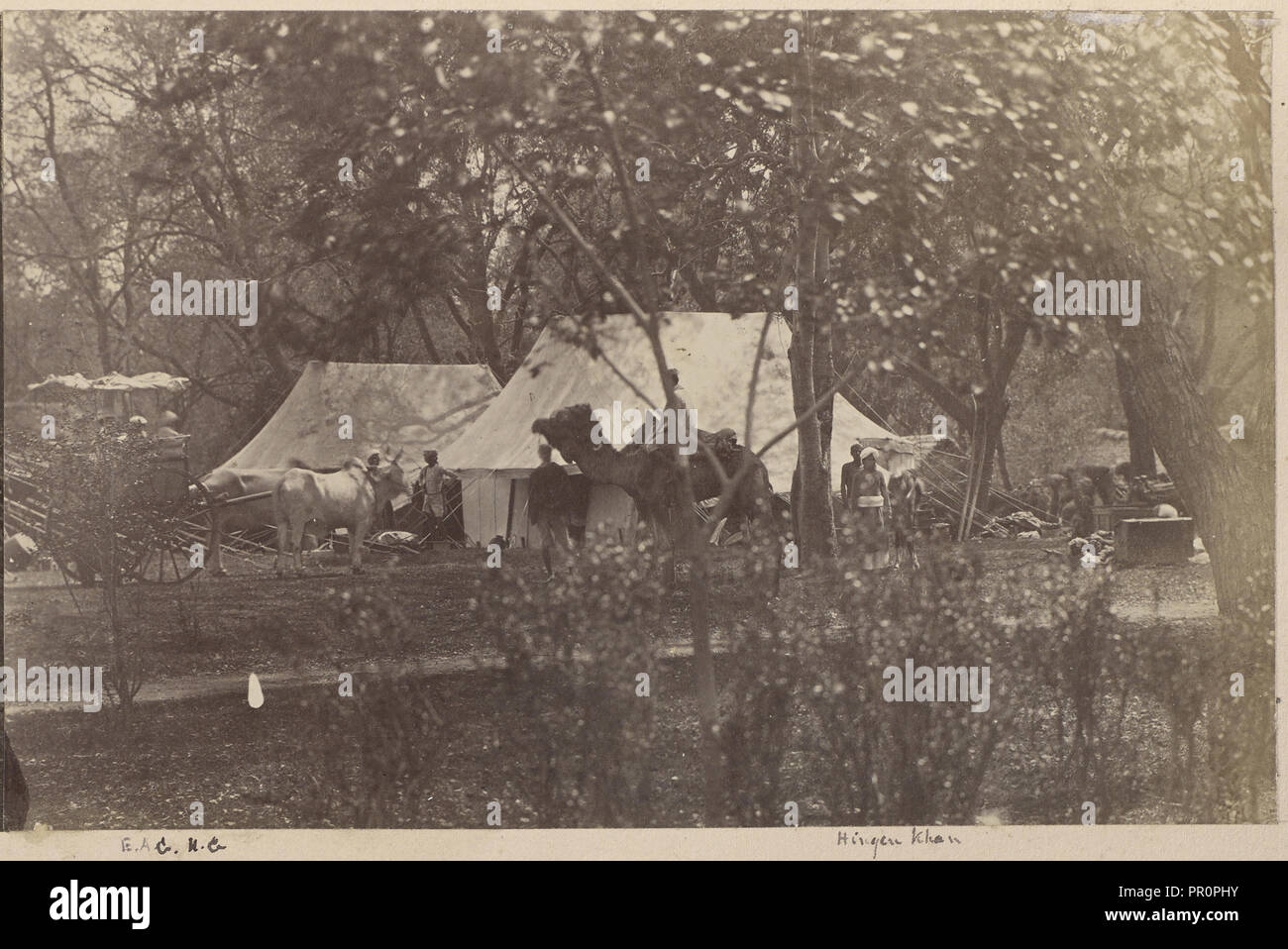 Roorkee india hi-res stock photography and images - Alamy