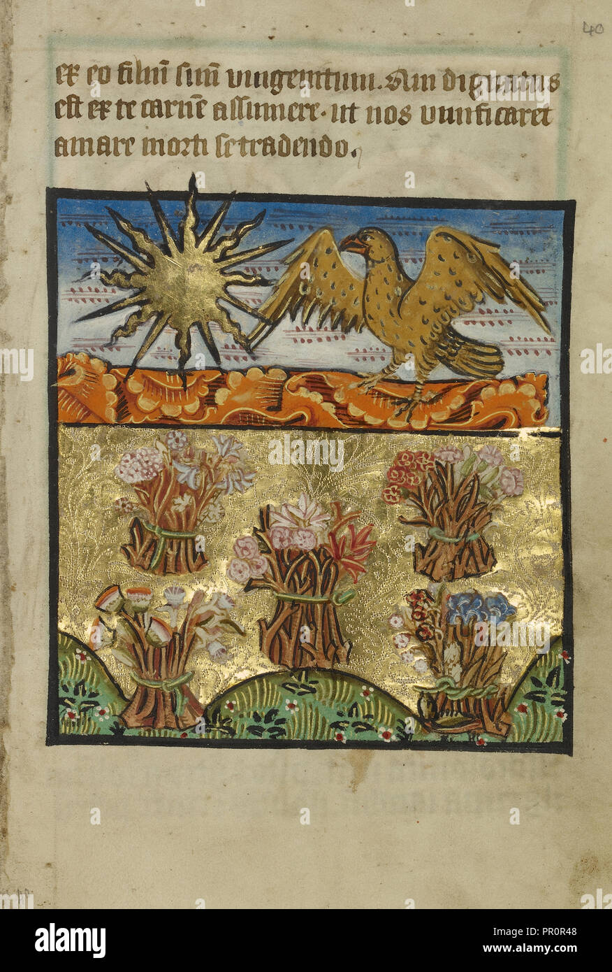 Five Bunches of Flowers; Norfolk perhaps, written, East Anglia, England ...