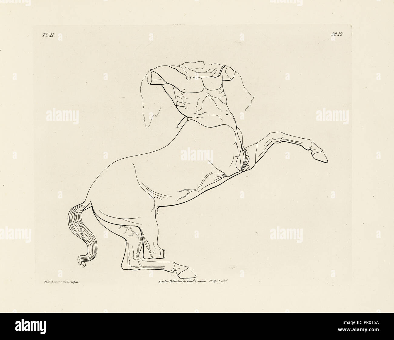 The Centaur, Elgin marbles from the Parthenon at Athens: exemplified by ...