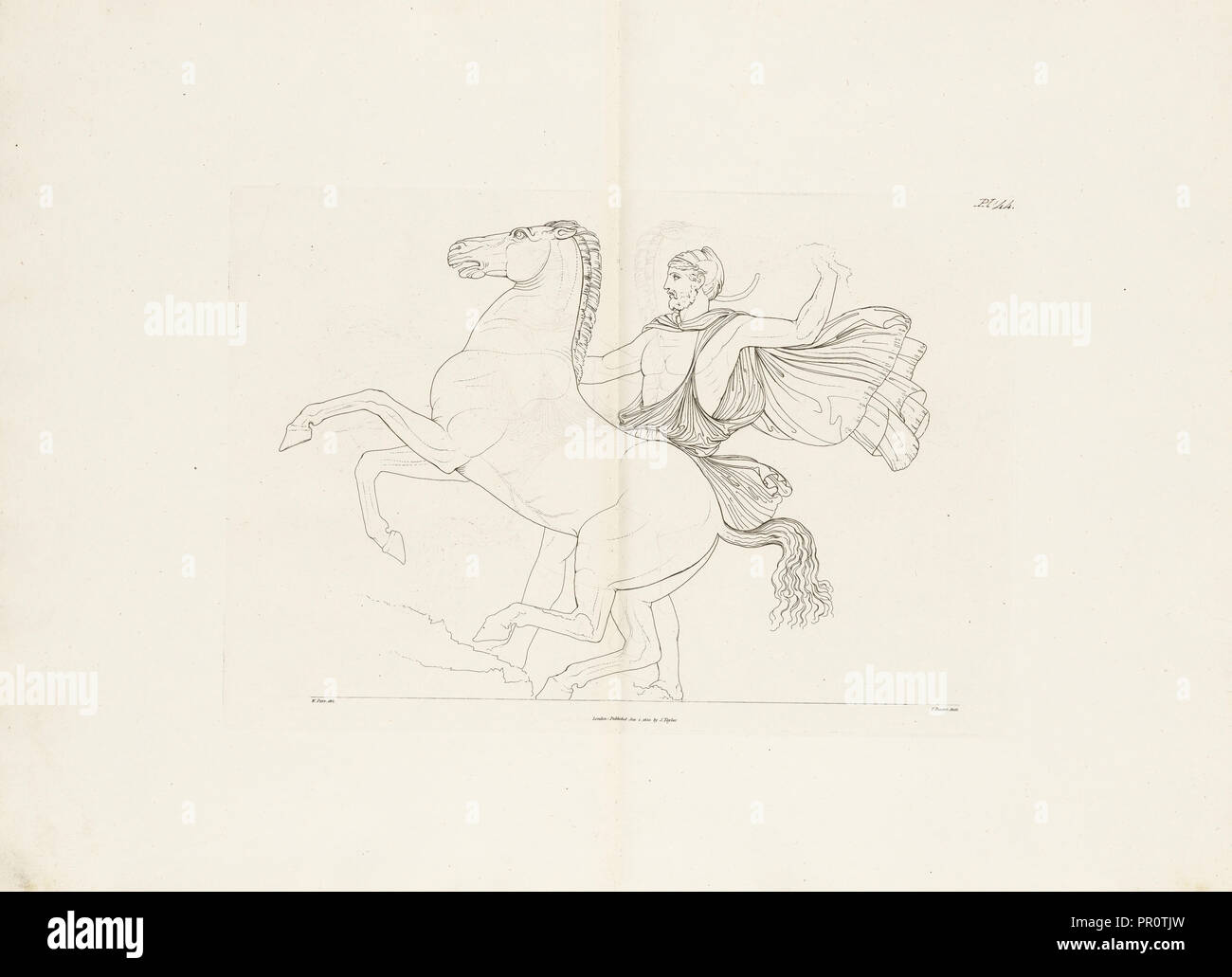 Metopes of the exterior frieze of the Temple, The Elgin marbles from ...