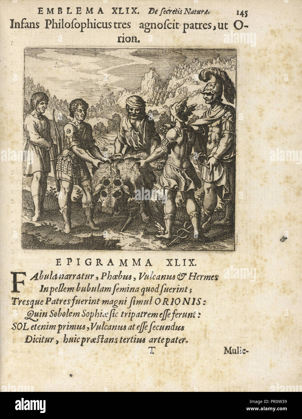 Infans hi-res stock photography and images - Alamy