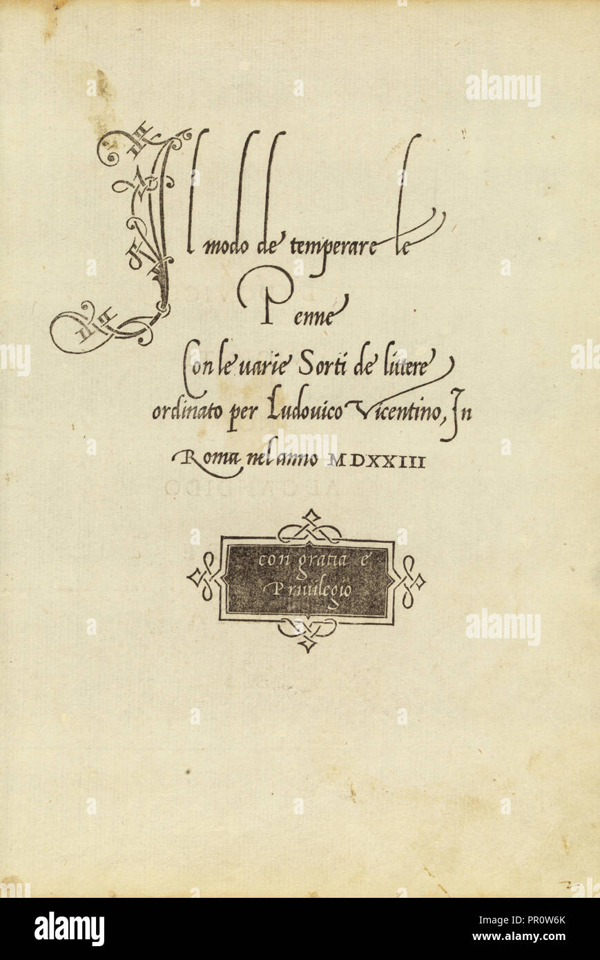 La operina di Ludouico Vicentino, da imparare di scriuere littera ...