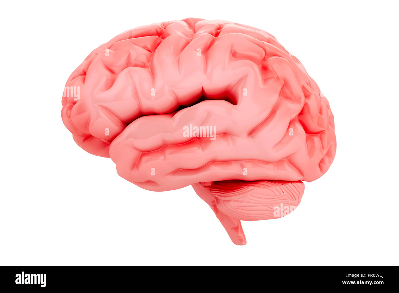 Digital brain scan on Cut Out Stock Images & Pictures - Alamy
