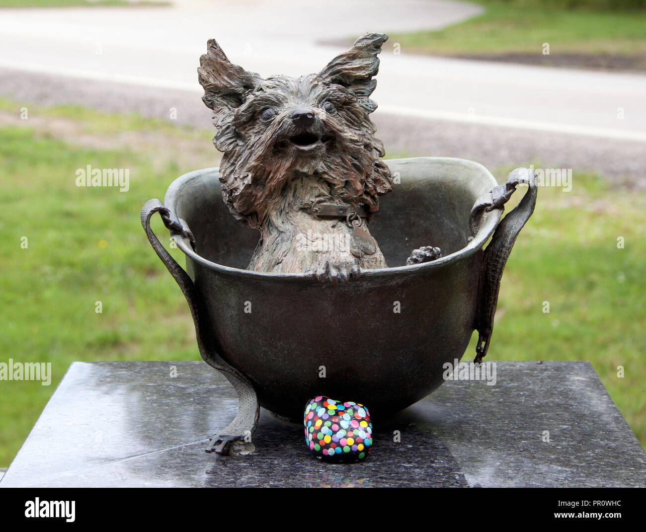 Tiny but mighty dog hi-res stock photography and images - Alamy