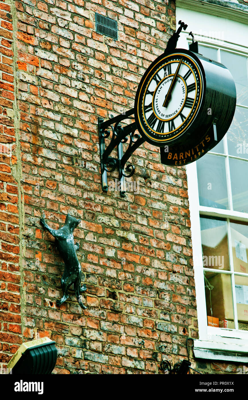 Barnitts and black cat, colliergate, York, England Stock Photo - Alamy