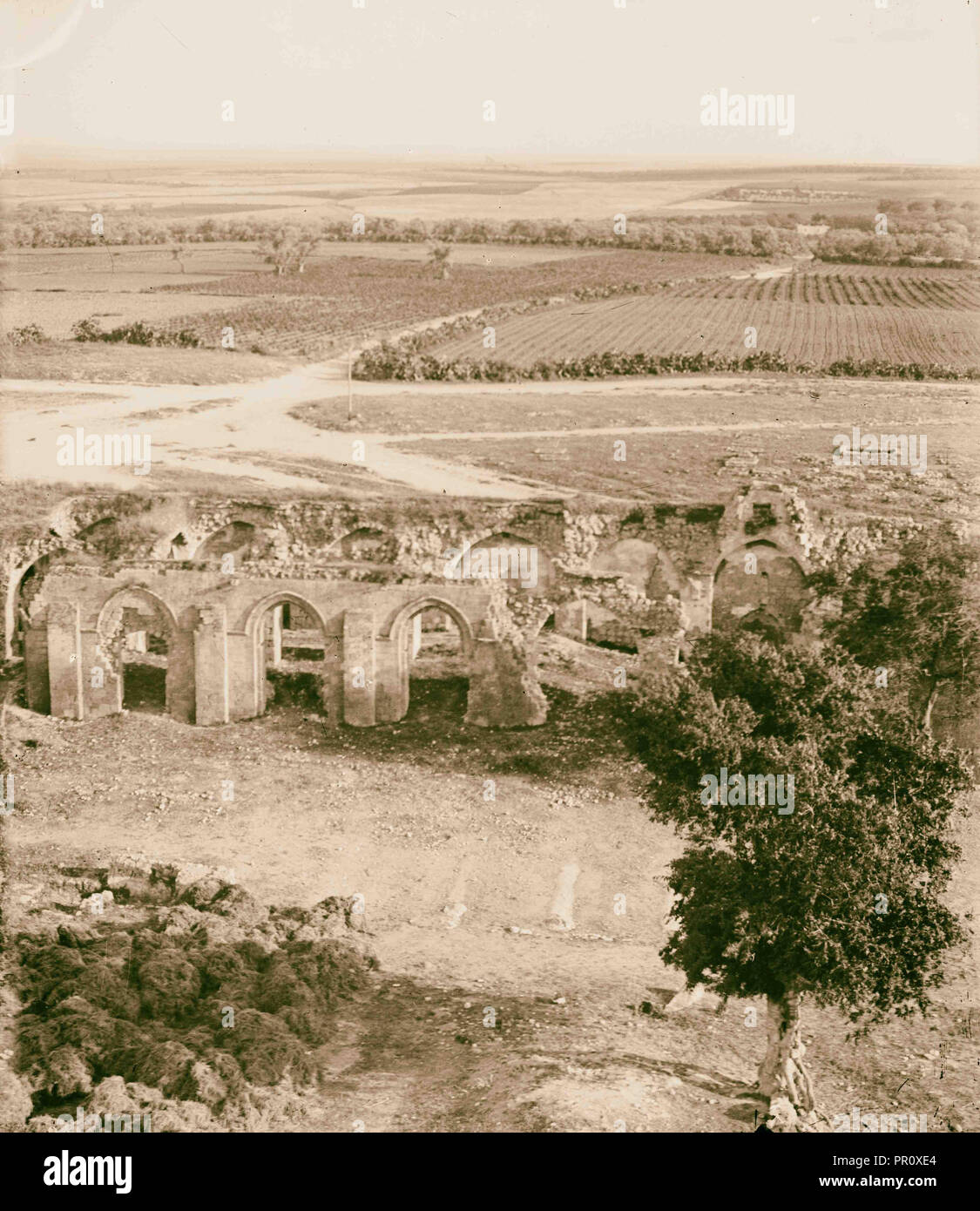 Plain of sharon hi-res stock photography and images - Alamy