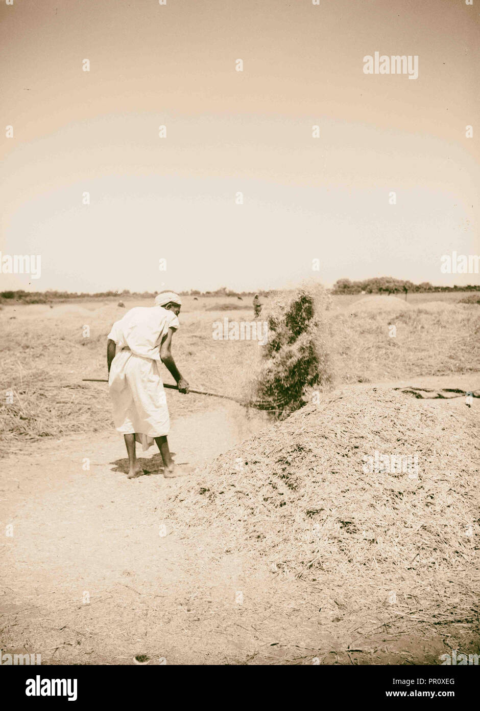 Winnowing, an agricultural method developed by ancient cultures for ...