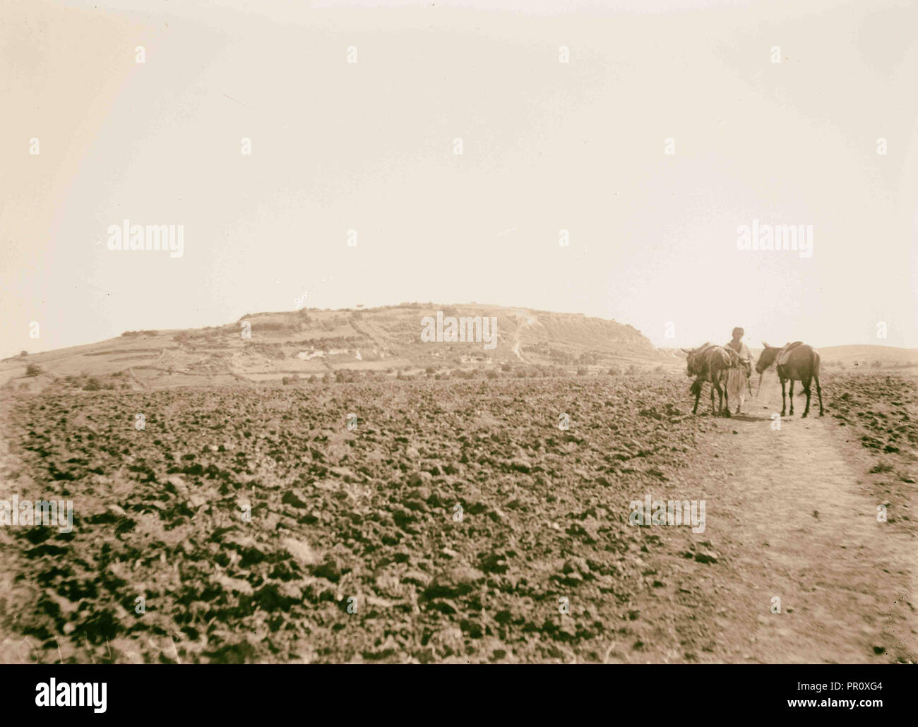Gaza 1917 hi-res stock photography and images - Alamy