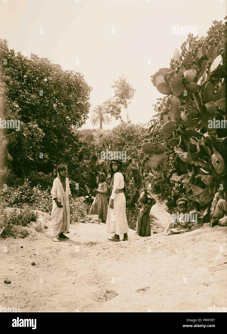 Shunem High Resolution Stock Photography and Images - Alamy