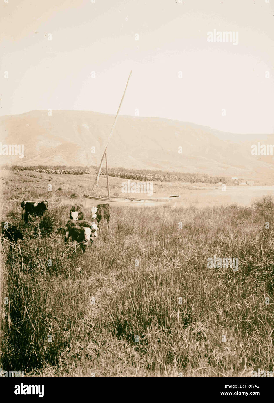 Northern views. Country of the Gadarenes. 1900, Israel Stock Photo - Alamy