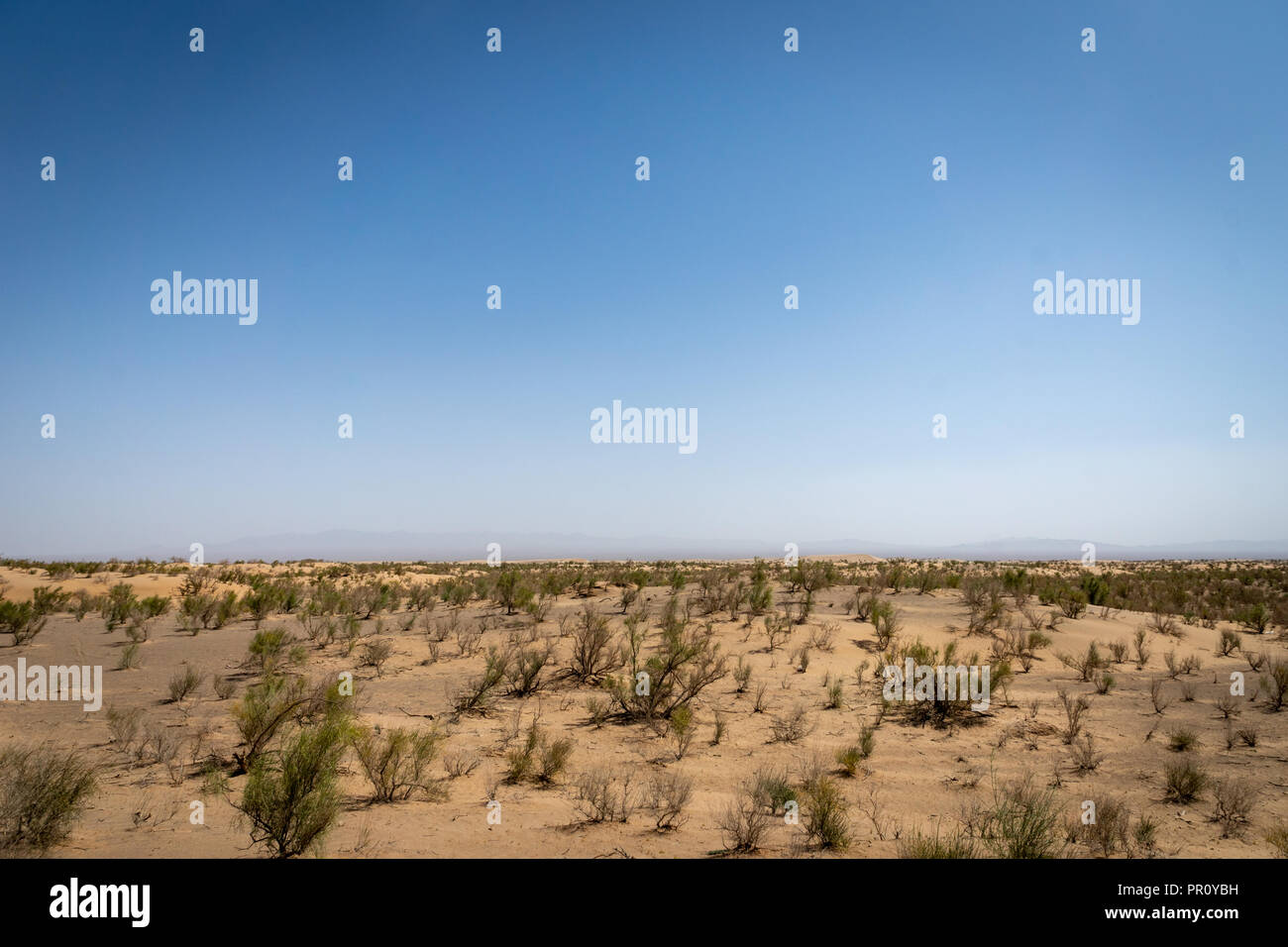Iranian desert village hi-res stock photography and images - Alamy