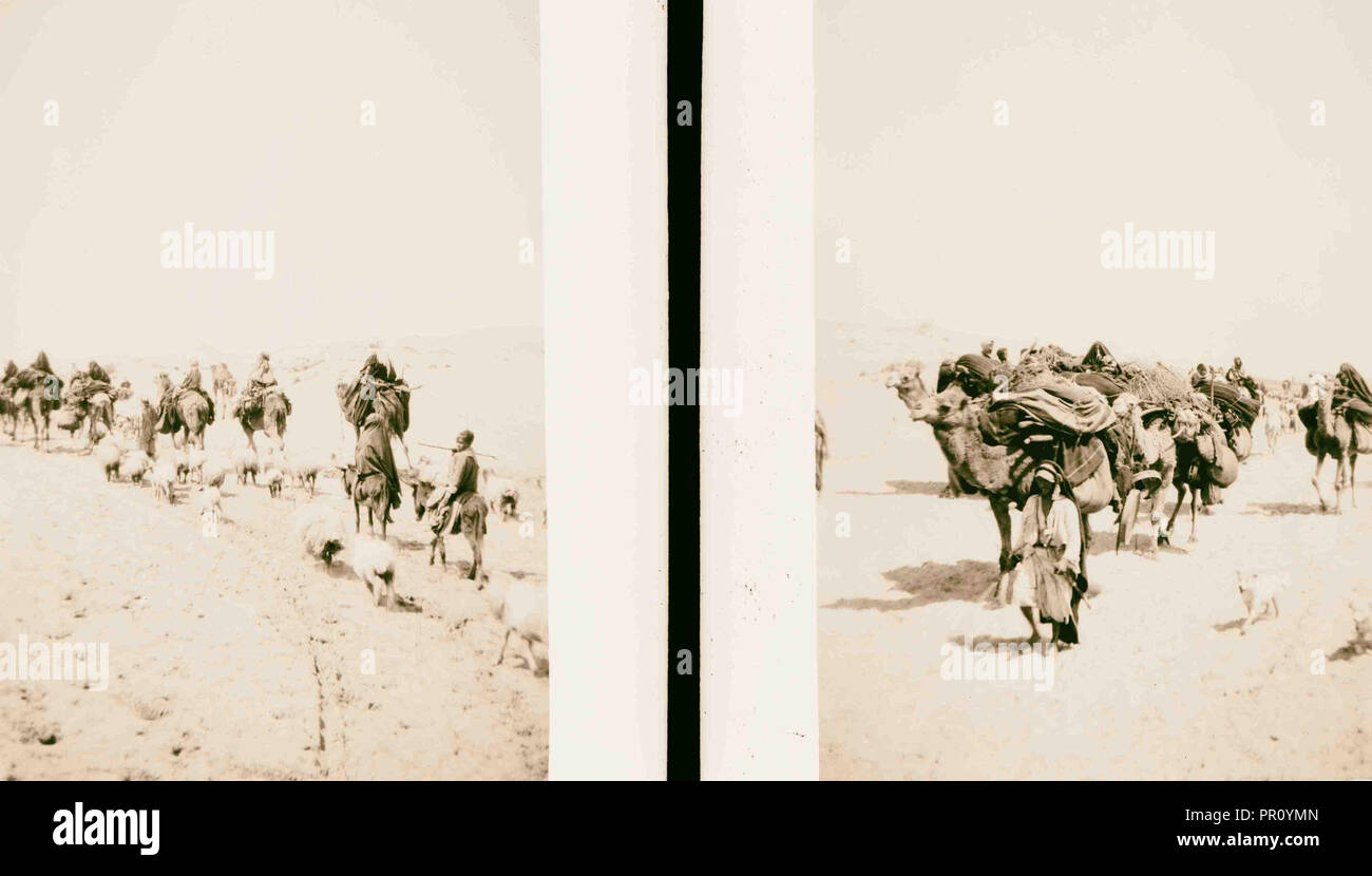 Bedouin caravan moving, Bedouin caravan approaching. 1900 Middle East ...
