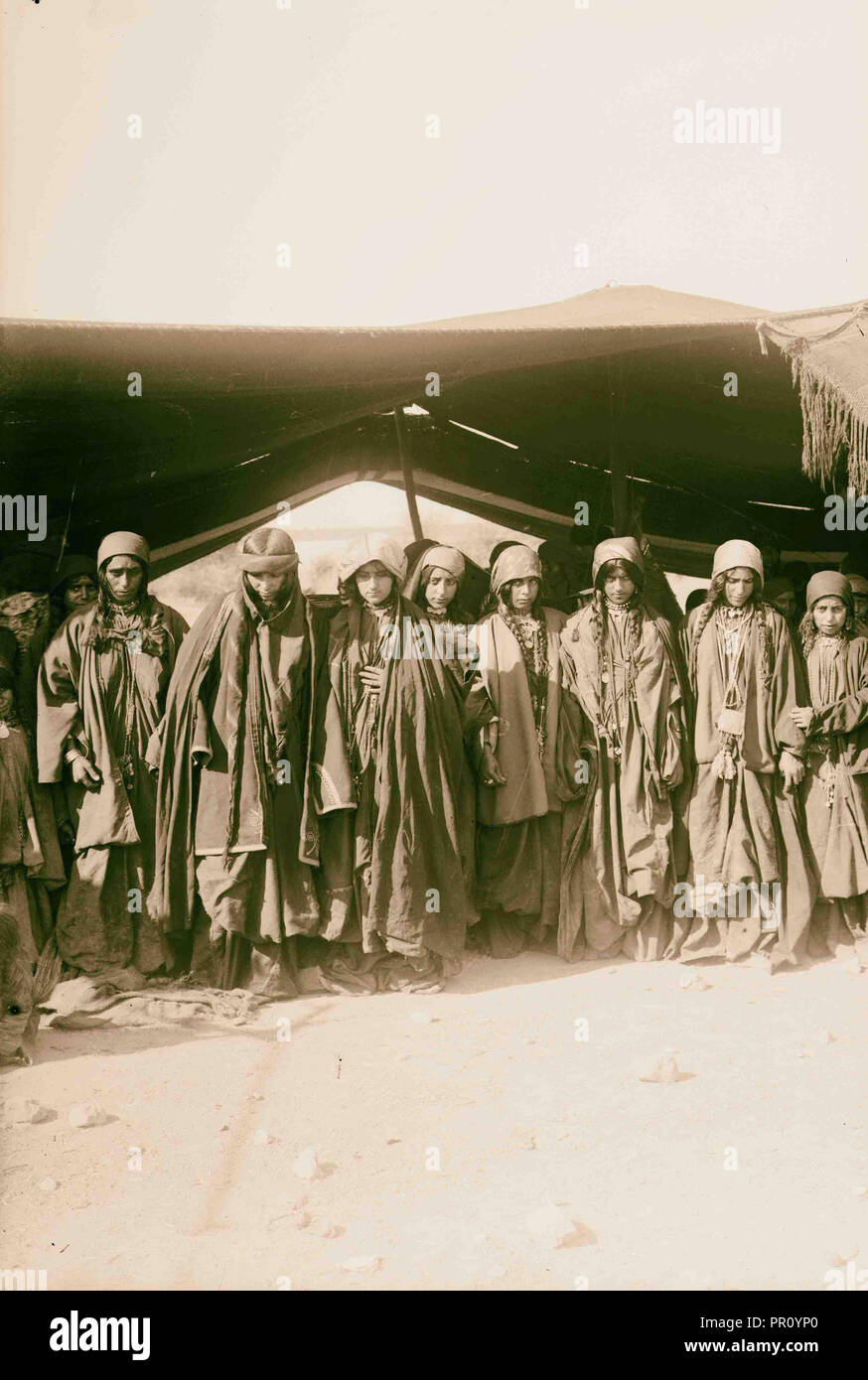 Bedouin wedding Bride's-maids 1900, the Bedouin are a grouping of ...