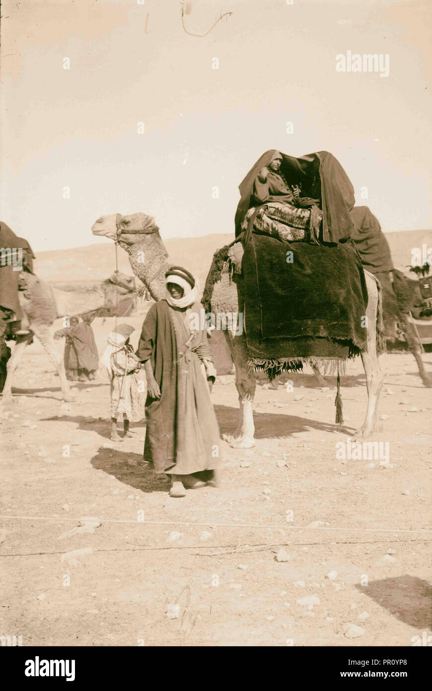 Bedouin wedding Bride's-maids on camel covered with 'Aba' 1900, the ...