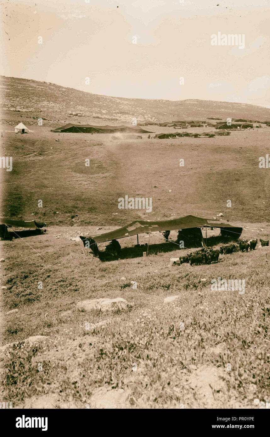 Bedouin wedding General view of a Bedouin encampment. 1900, the Bedouin ...