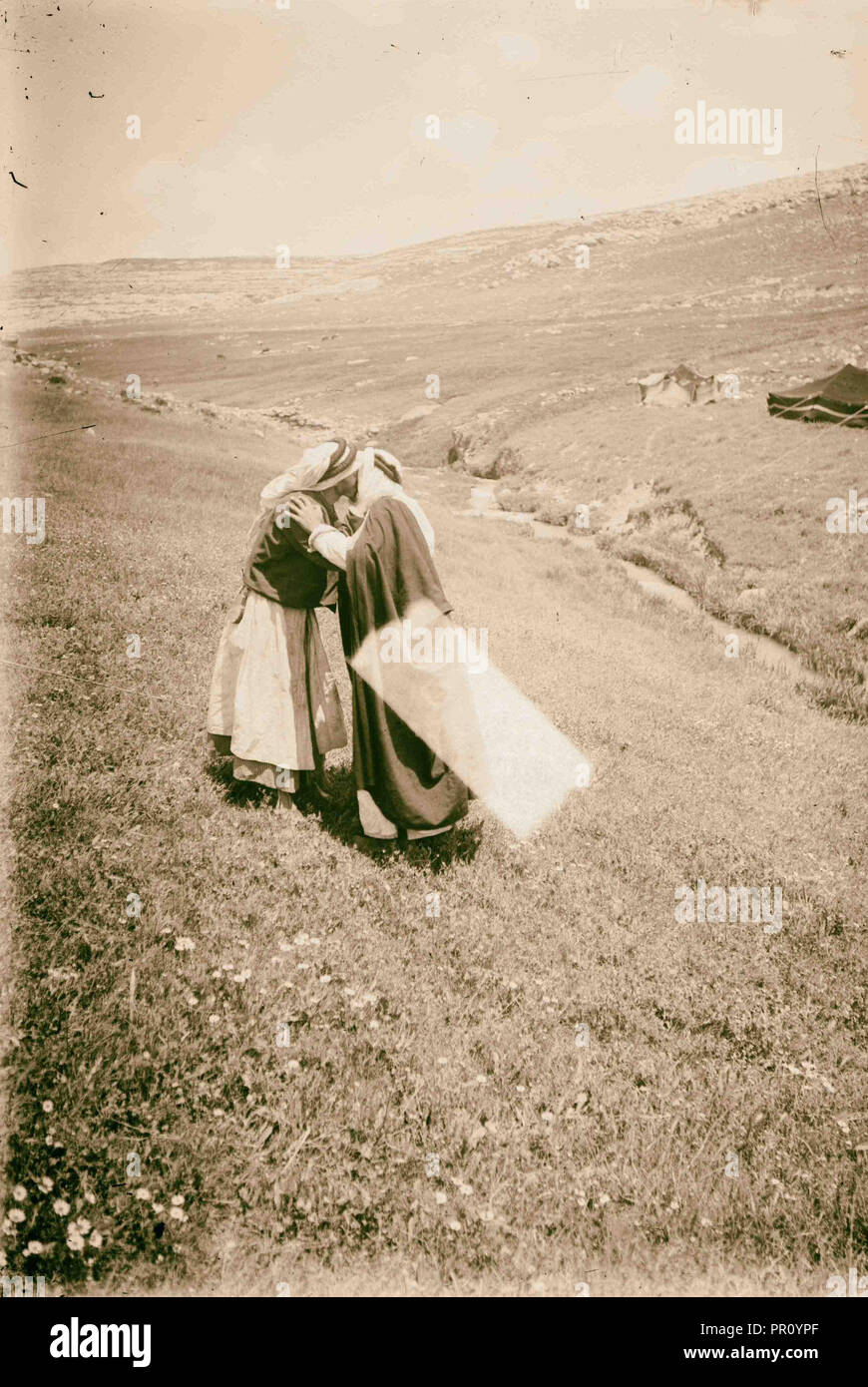 Bedouin wedding Bedouin saluting. 1900, the Bedouin are a grouping of ...