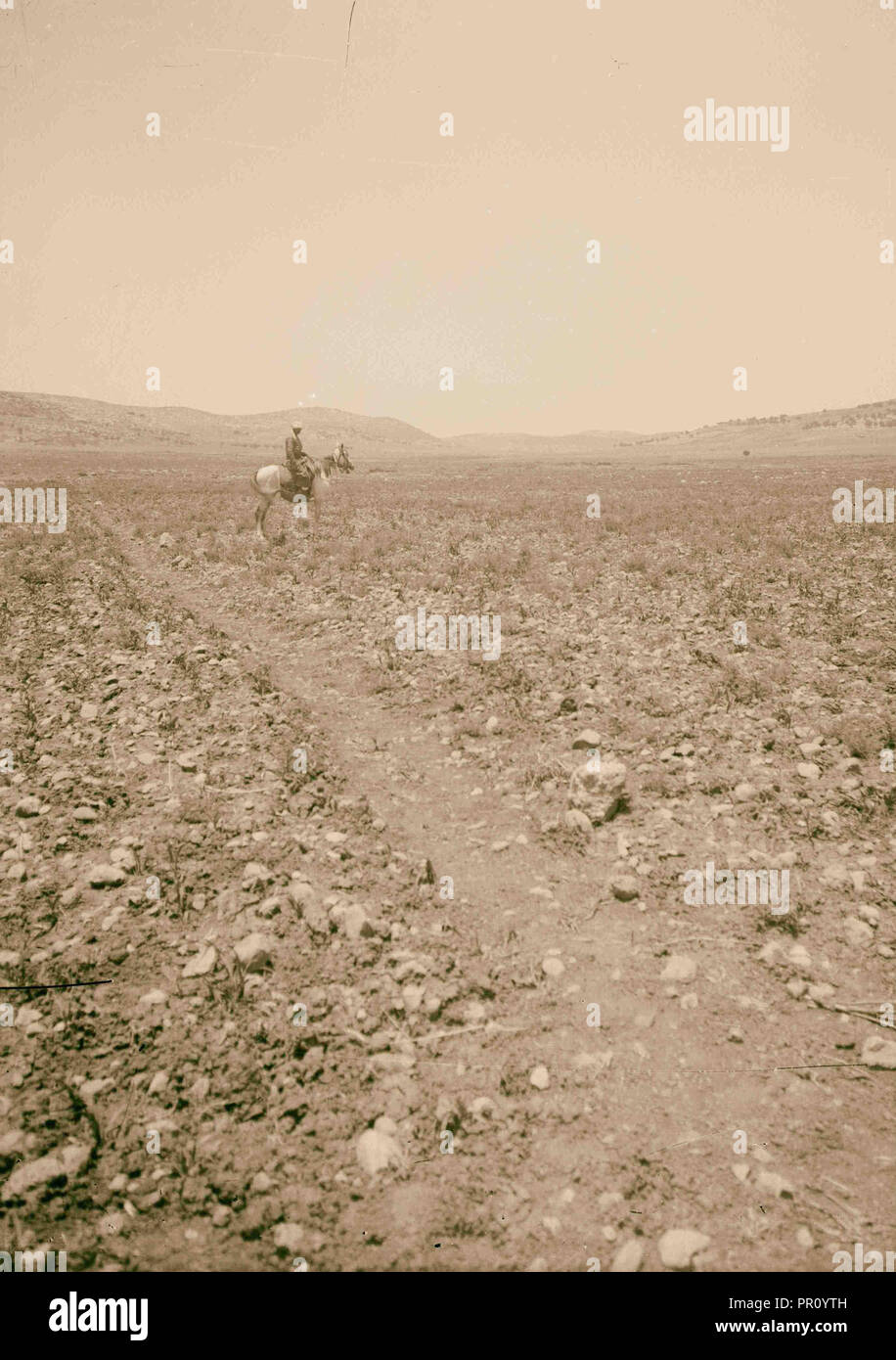 Southern Palestine. General view of Valley of Elah. 1900, Israel Stock ...