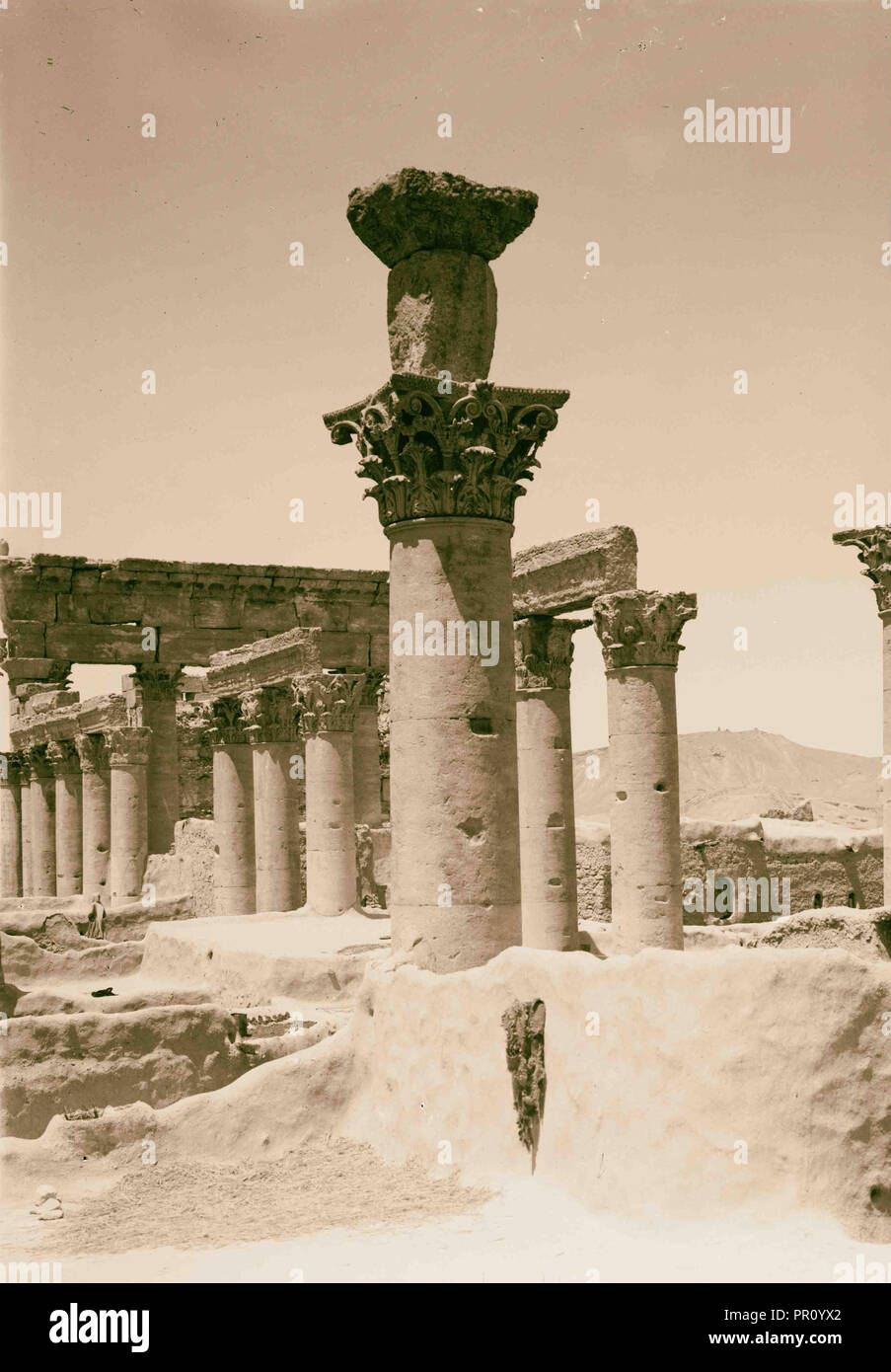 Palmyra (Tadmor). Capitals of pillars in Temple of the Sun. 1900, Syria ...