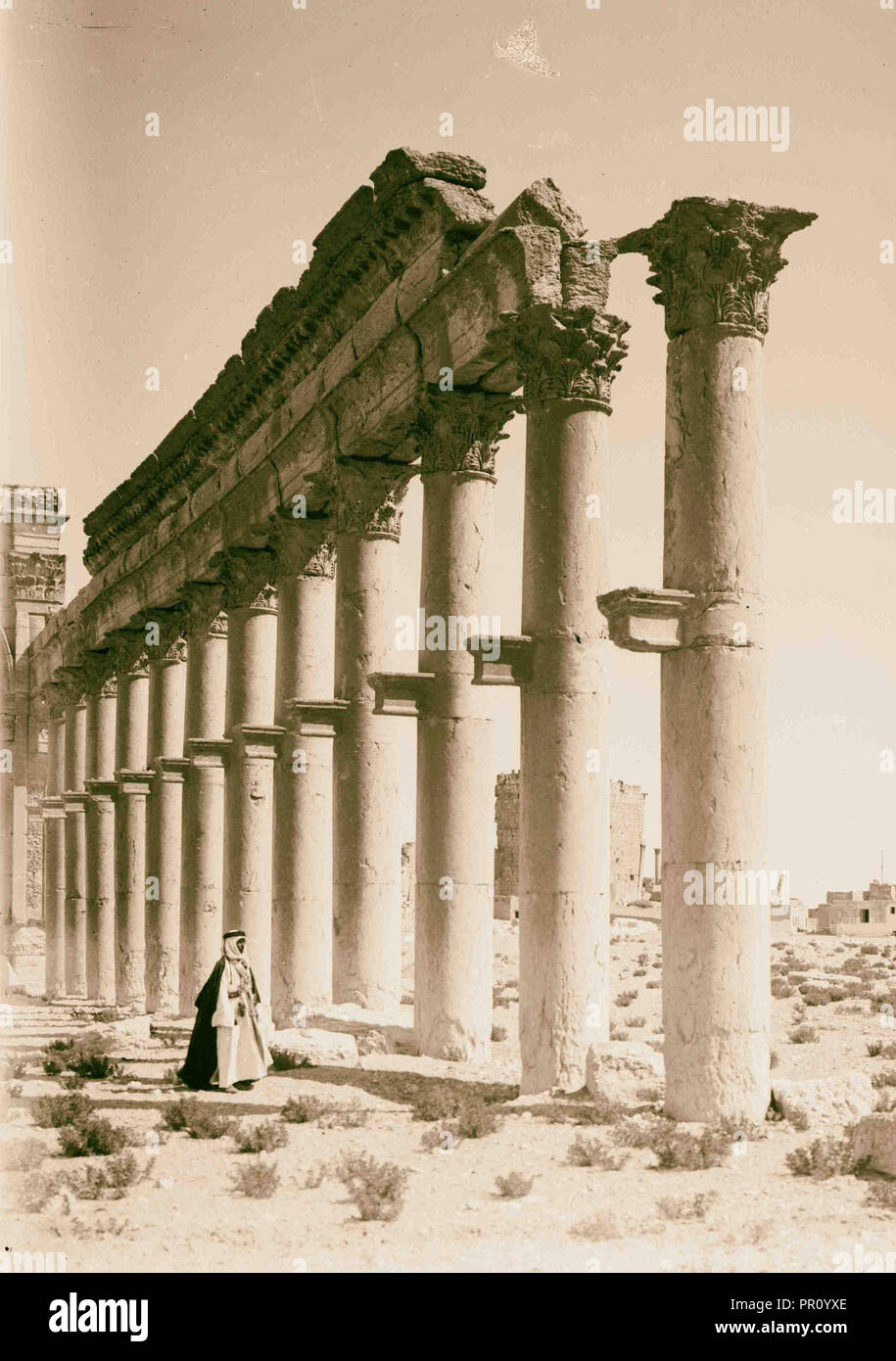 Palmyra (Tadmor). Pillars of colonnade, showing brackets for statues ...