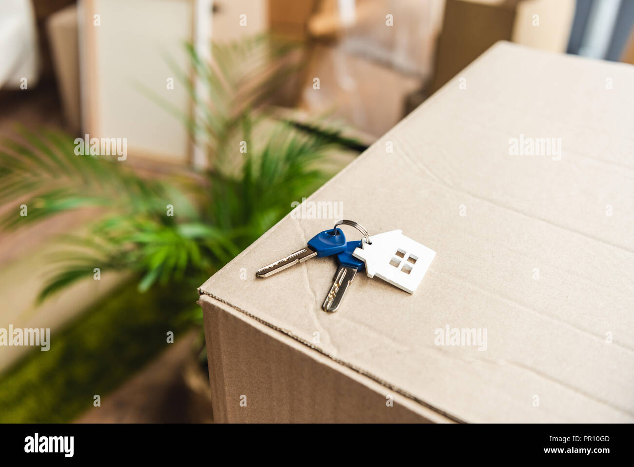 View from inside cardboard box hi-res stock photography and images - Alamy
