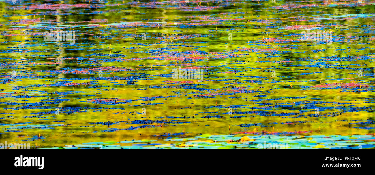 Green Blue Red Yellow Reflection Abstract Lake Washington Juanita Bay ...
