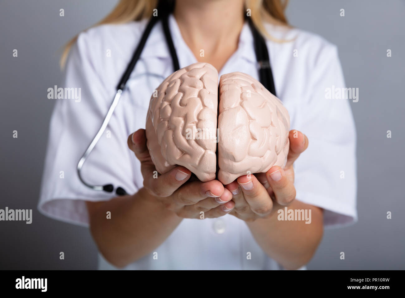 Close-up Of A Doctor's Hand Holding Human Brain Model Stock Photo - Alamy
