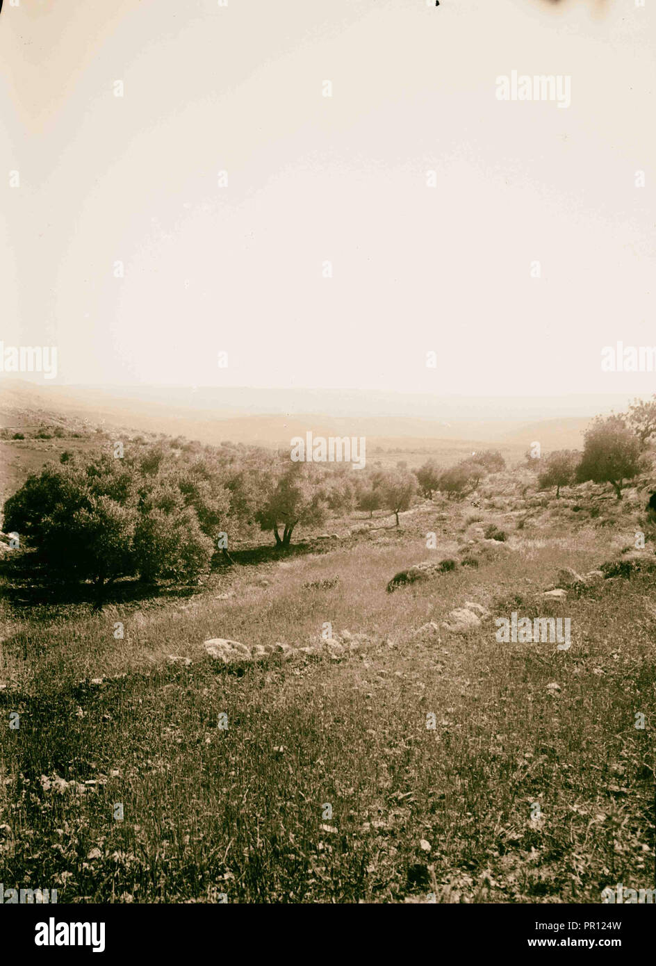 Beth horon hi-res stock photography and images - Alamy