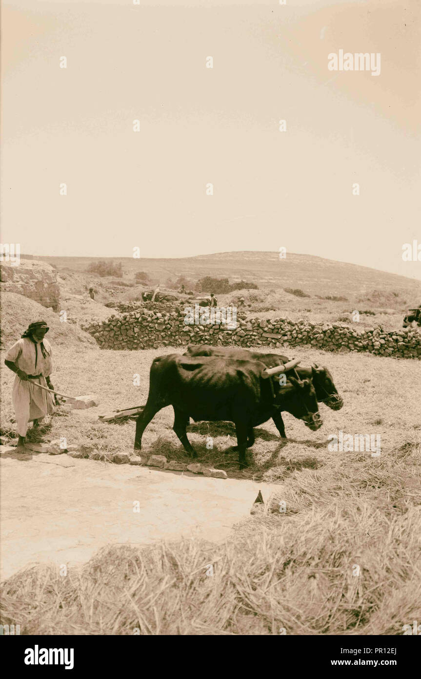 Threshing instrument hi-res stock photography and images - Alamy