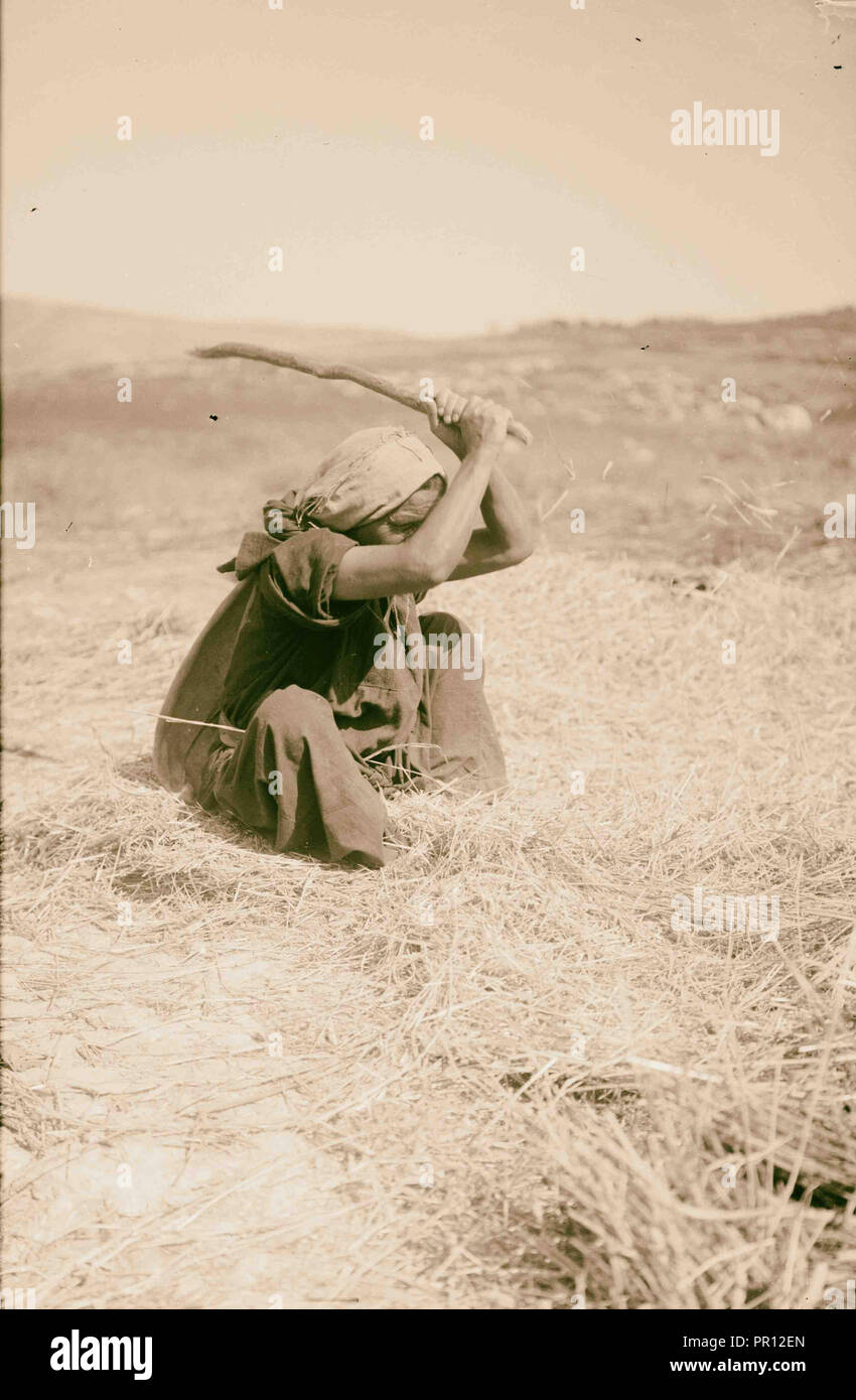 Costumes, characters, etc. Woman threshing with flail. 1900 Stock Photo ...