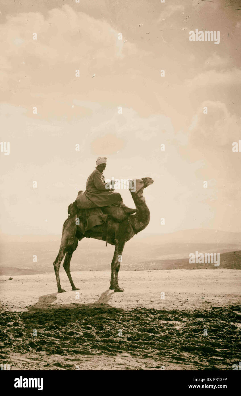 The 'ship of the desert'. 1900, Middle East, Israel and/or Palestine ...