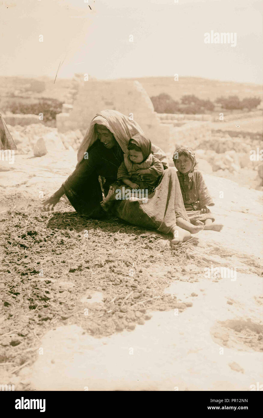 Drying manure hi-res stock photography and images - Alamy