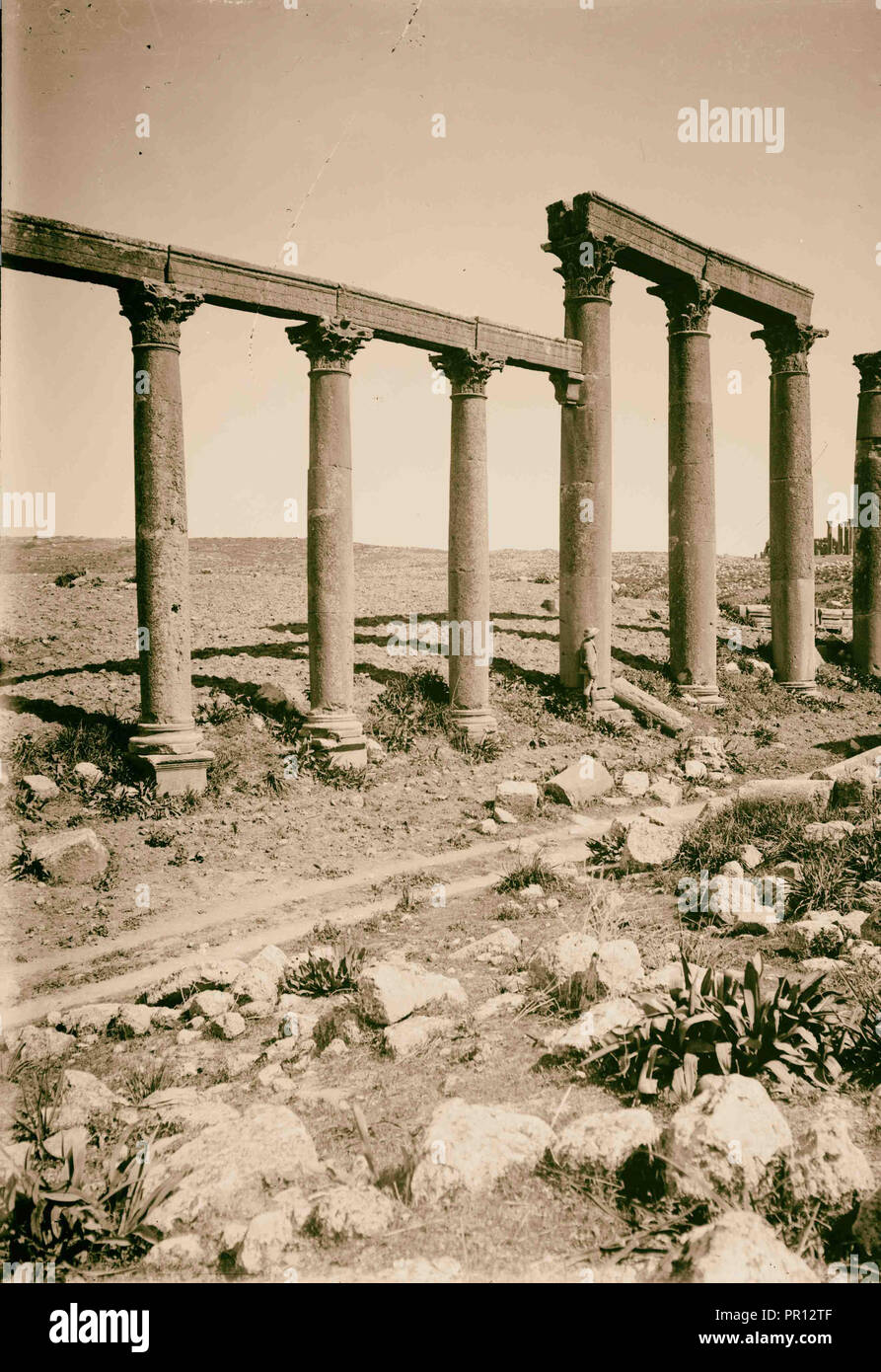 East of the Jordan and Dead Sea. Columns of temple of the grand ...