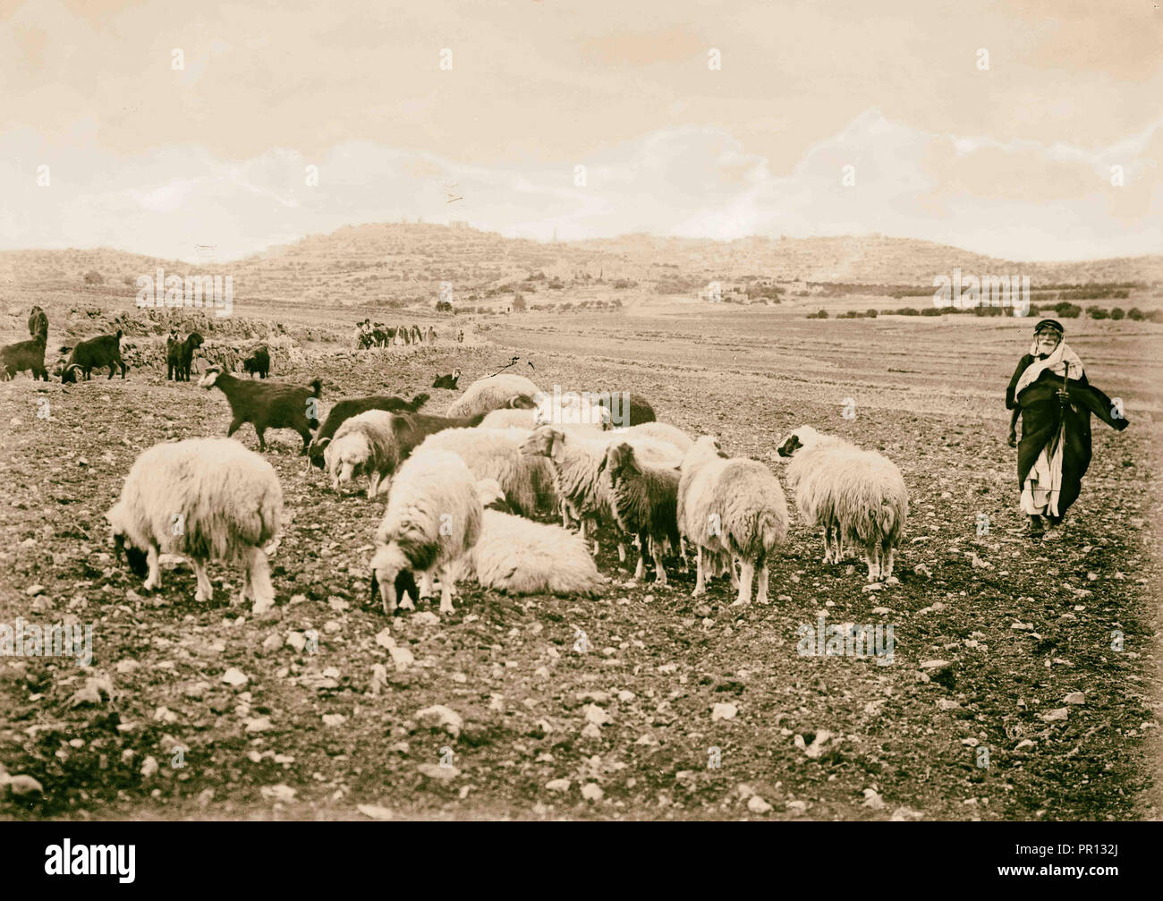 Fields of bethlehem hi-res stock photography and images - Alamy