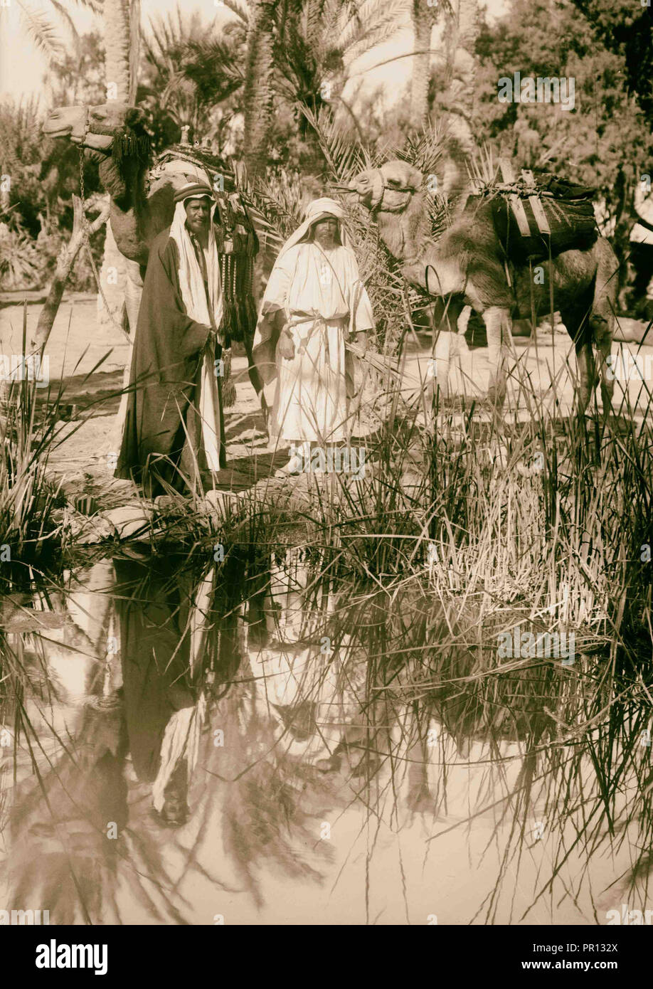 Sinai (Spring of Moses). 1898, Egypt, Sinai Stock Photo - Alamy