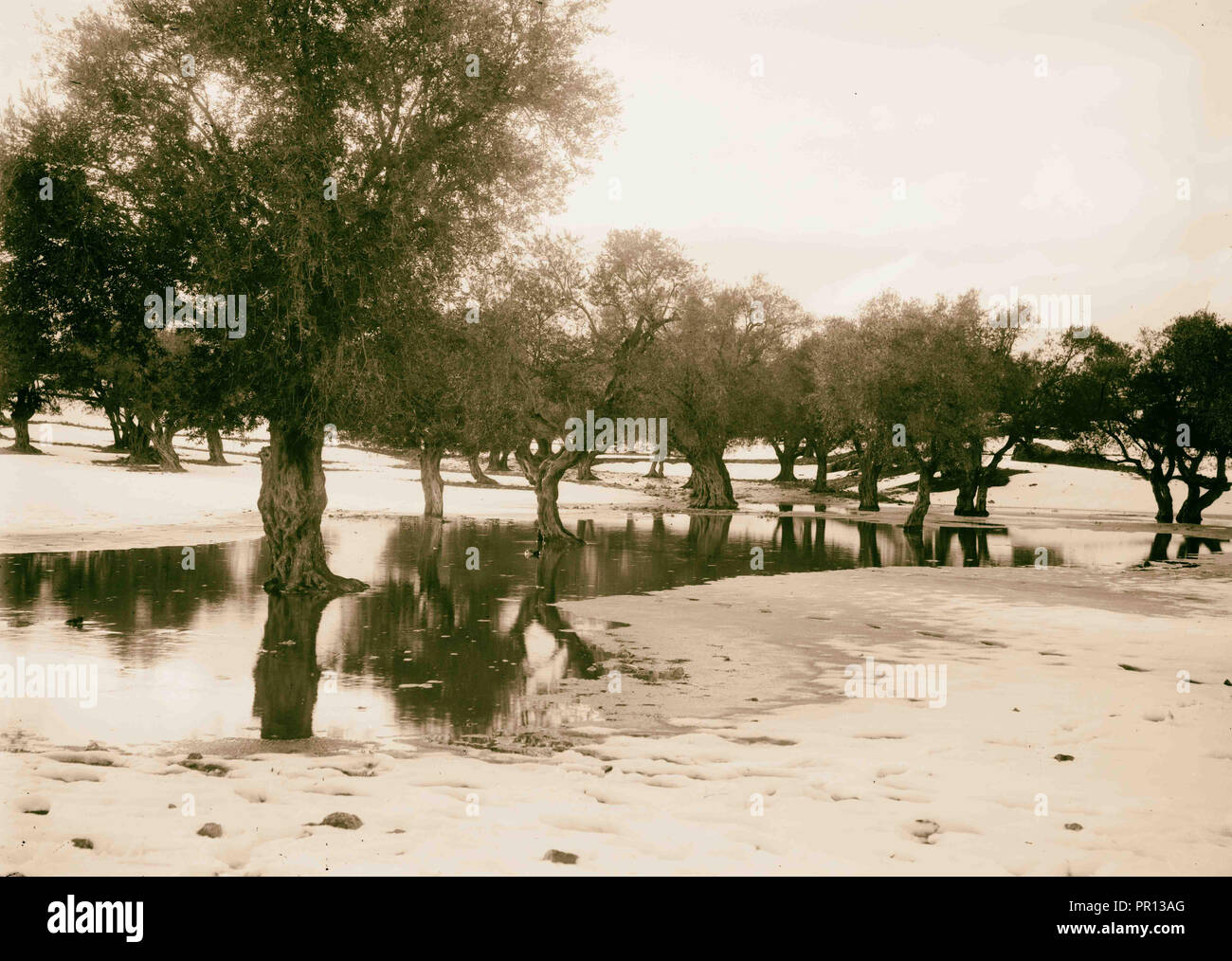 Jerusalem during a snowy winter. Winter torrent brook Kedron i.e ...