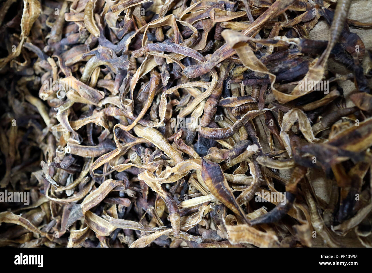 Chinese traditional medicine, close up dry herbs or leaves top view 167 ...