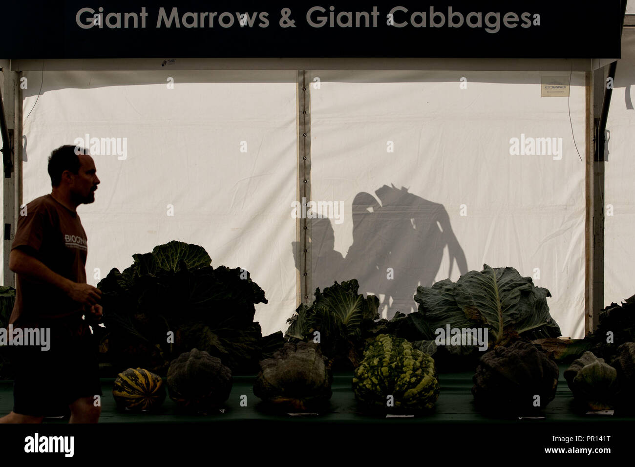 A giant leek is carried past the giant marrow and giant cabbage stand ...