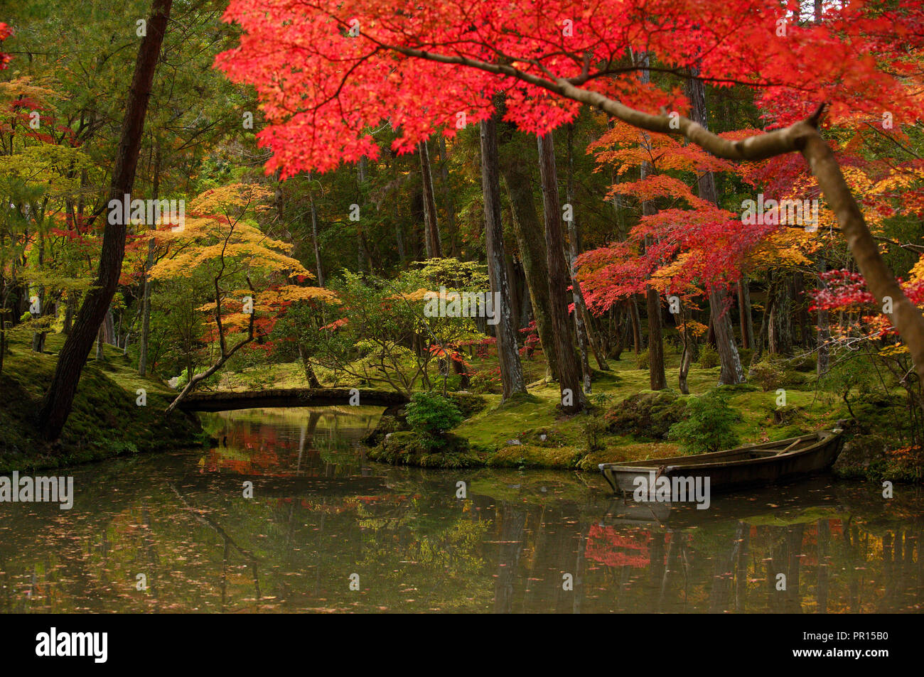 Japan Asia Tree World Kiyomizu Dera Temple In Eastern Kyoto, Japan