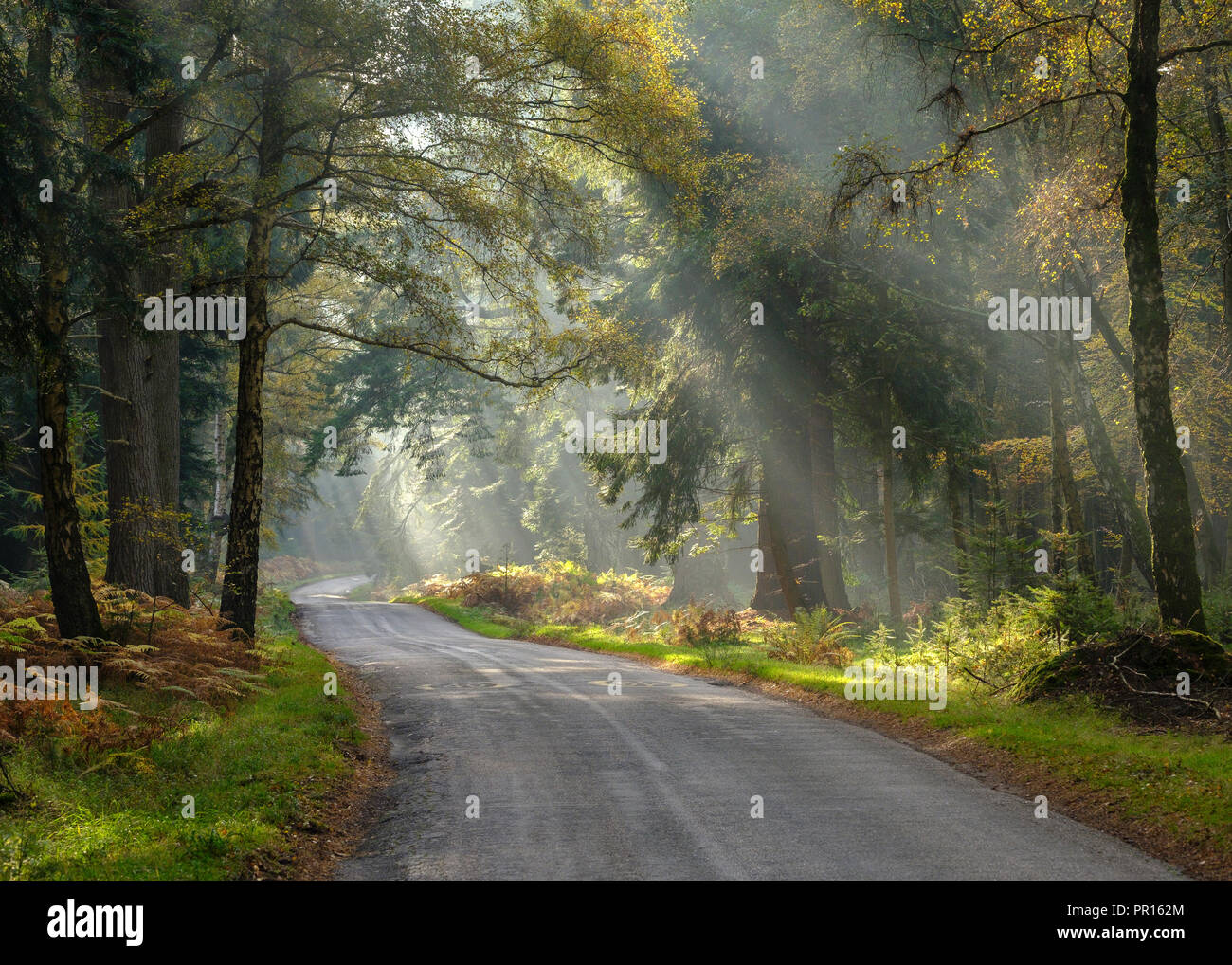 Adding colour to drive hi-res stock photography and images - Alamy