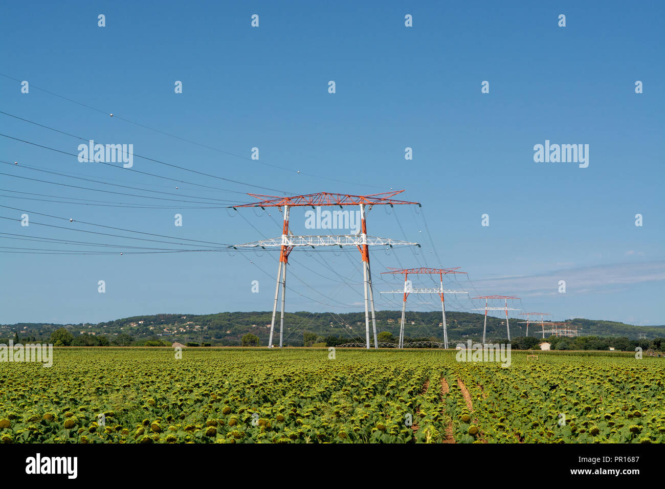 Power supply lines about sunflower field hi-res stock photography and ...