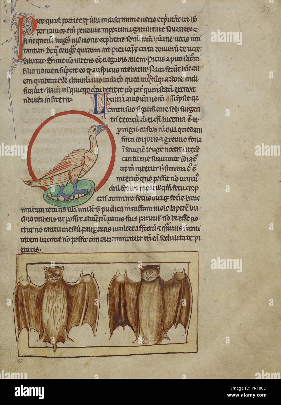 A Nightingale; Bats; England; about 1250 - 1260; Pen-and-ink drawings ...