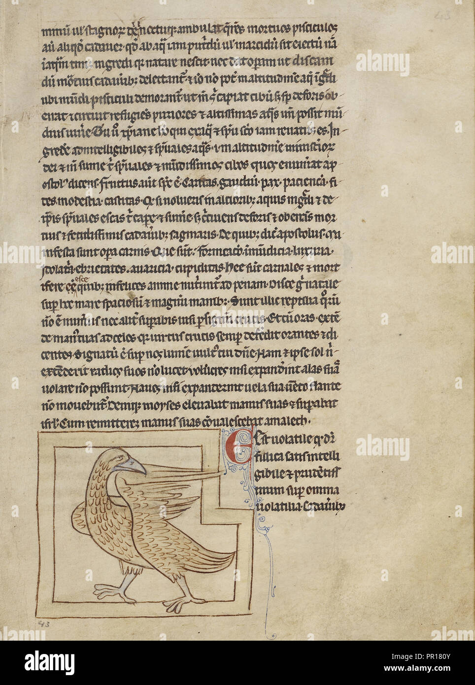 Pen and ink drawings tinted hi-res stock photography and images - Alamy