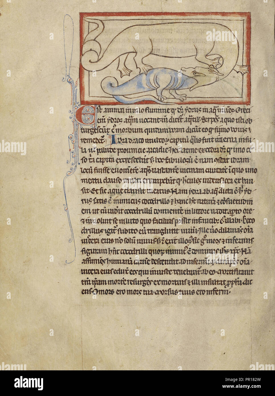 A Hydrus; England; about 1250 - 1260; Pen-and-ink drawings tinted with ...