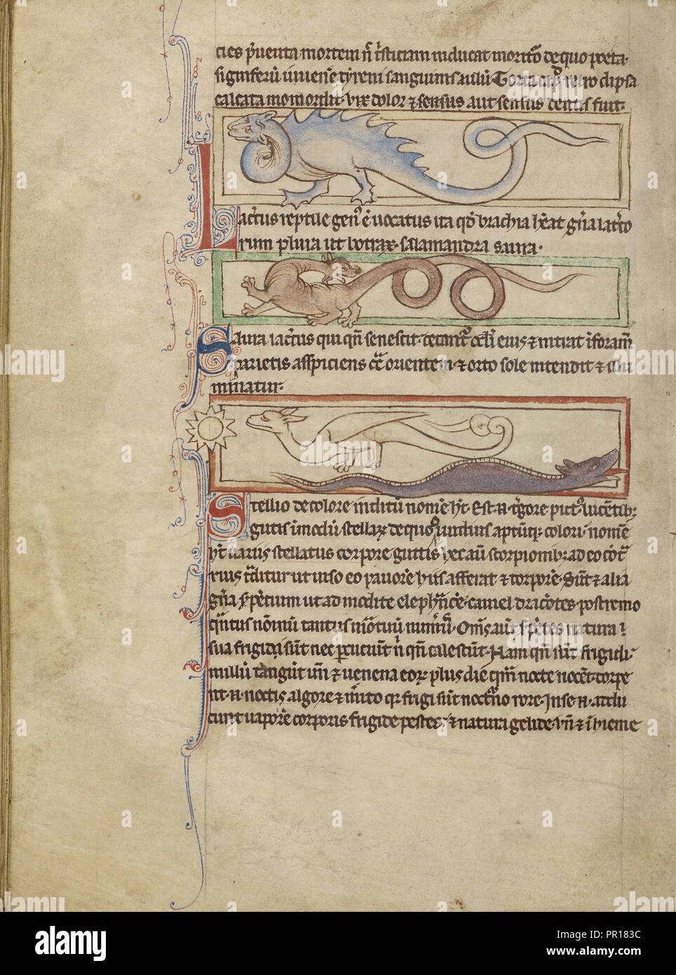 A Seps; A Lizard; A Saura; A Newt; England; about 1250 - 1260; Pen-and ...
