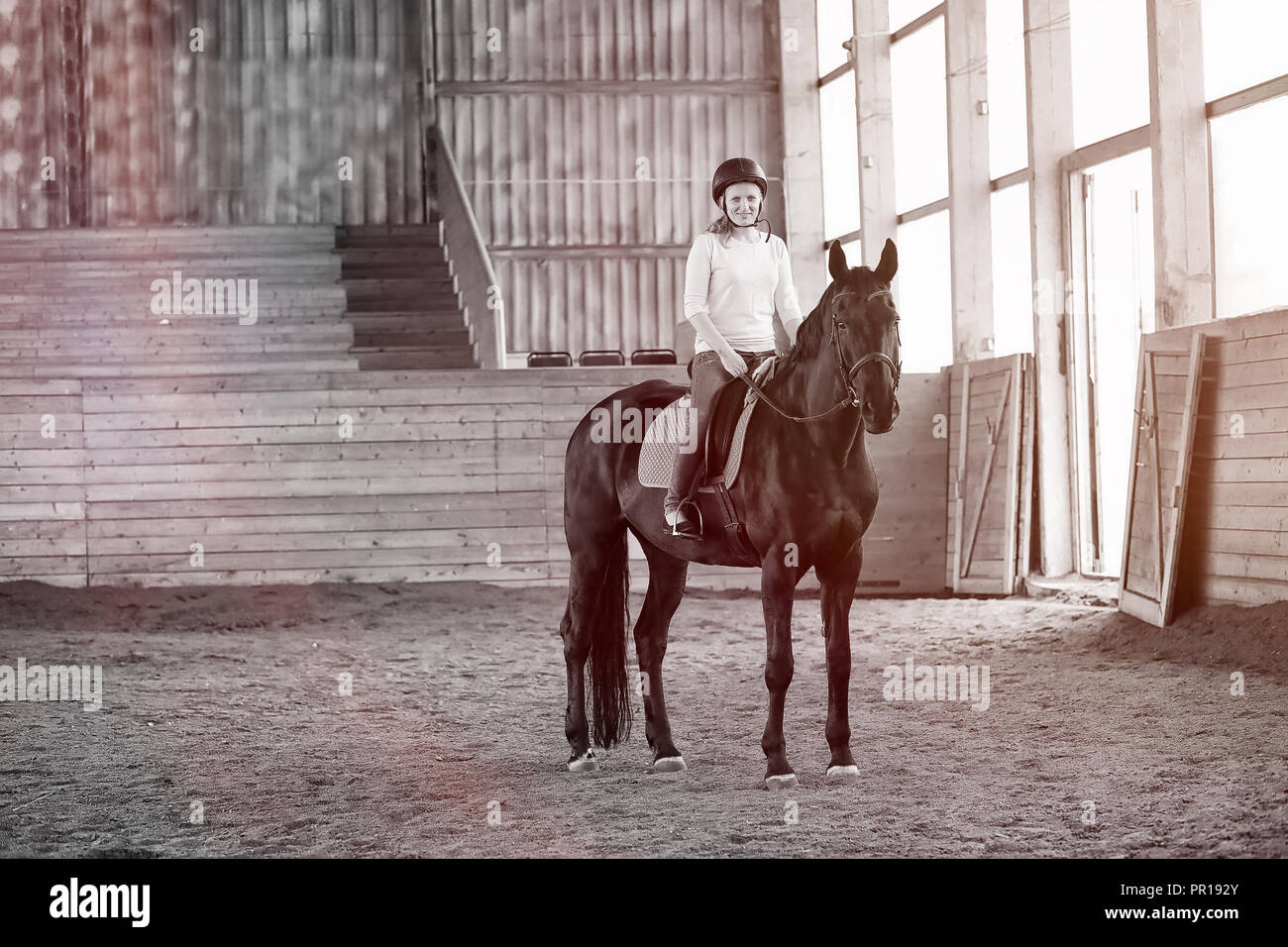 Young people on a horse training in wooden arena Stock Photo - Alamy