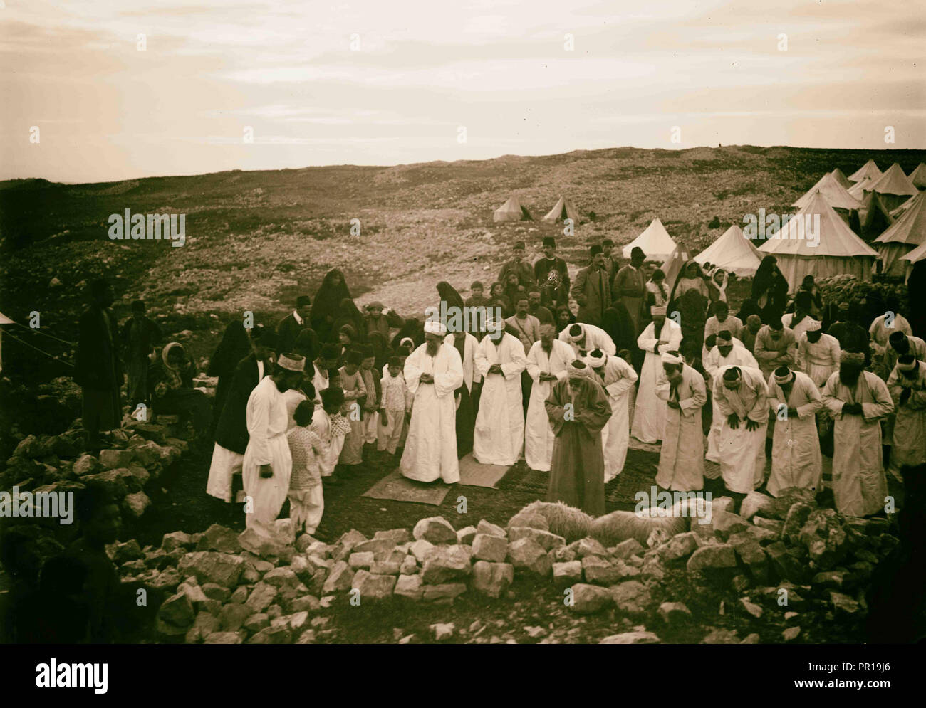 The Samaritan Passover on Mt. Gerizim Evening prayer. 1900, West Bank ...