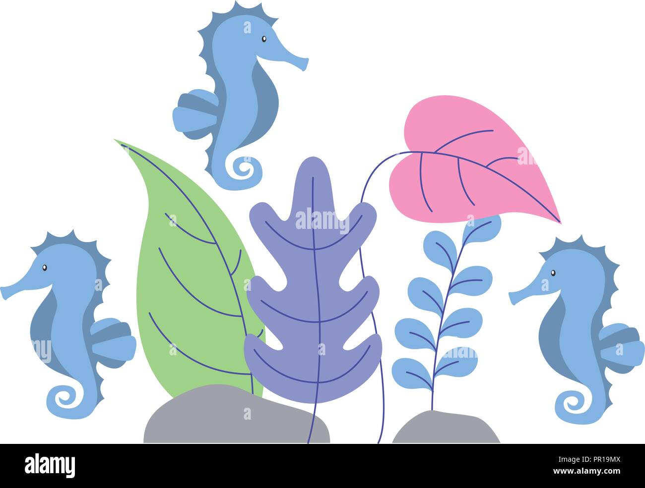 seahorses with plants foliage wild scene vector illustration Stock ... seahorses with plants foliage wild scene vector illustration Stock ...